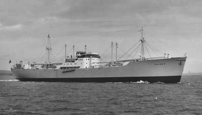 Eriksbergs Linjeskip 1948-63 — Skipet